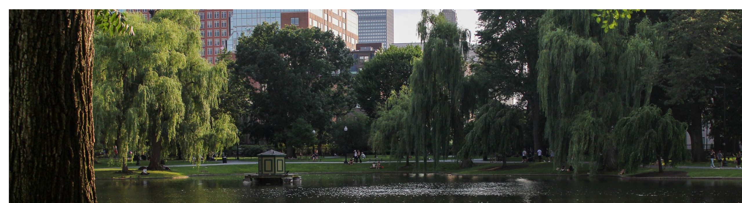 Michael Mahoney Boston Realtor 617-615-9435 with Real Broker MA LLC